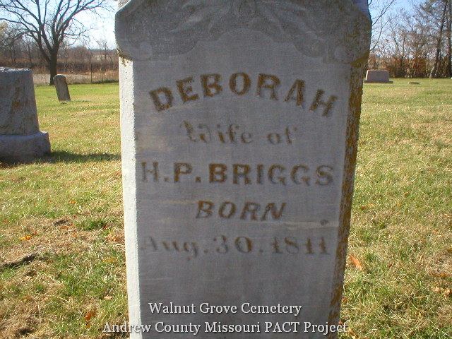 Walnut Grove Cemetery – The Cousin Collector